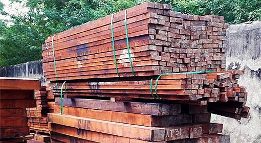 Axil Agro - Leading Importer of Timber | Best Exporter of Cocopeat | India