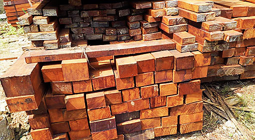 Axil Agro - Leading Importer of Timber | Best Exporter of Cocopeat | India